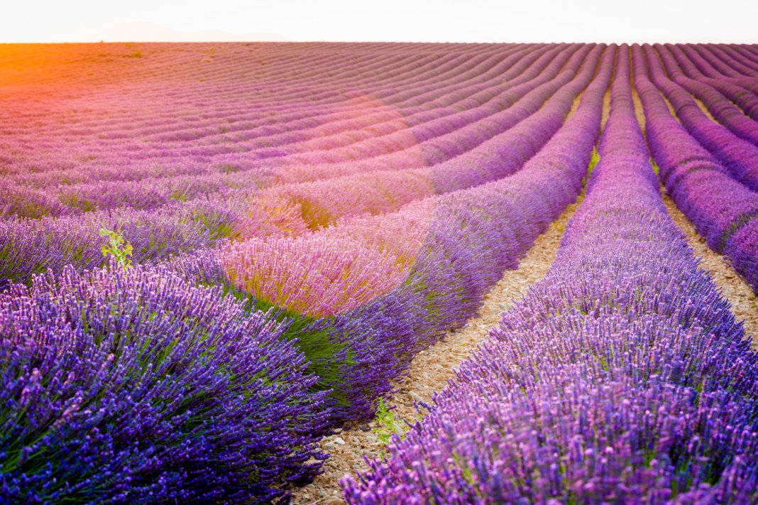 Cosa fare e vedere in Provenza: 18 luoghi imperdibili