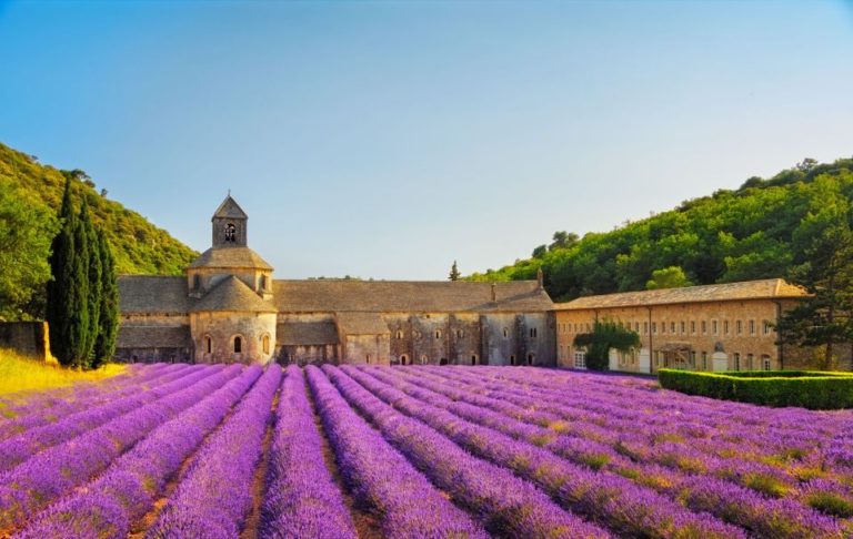 L'Abbazia di Sénanque in Provenza